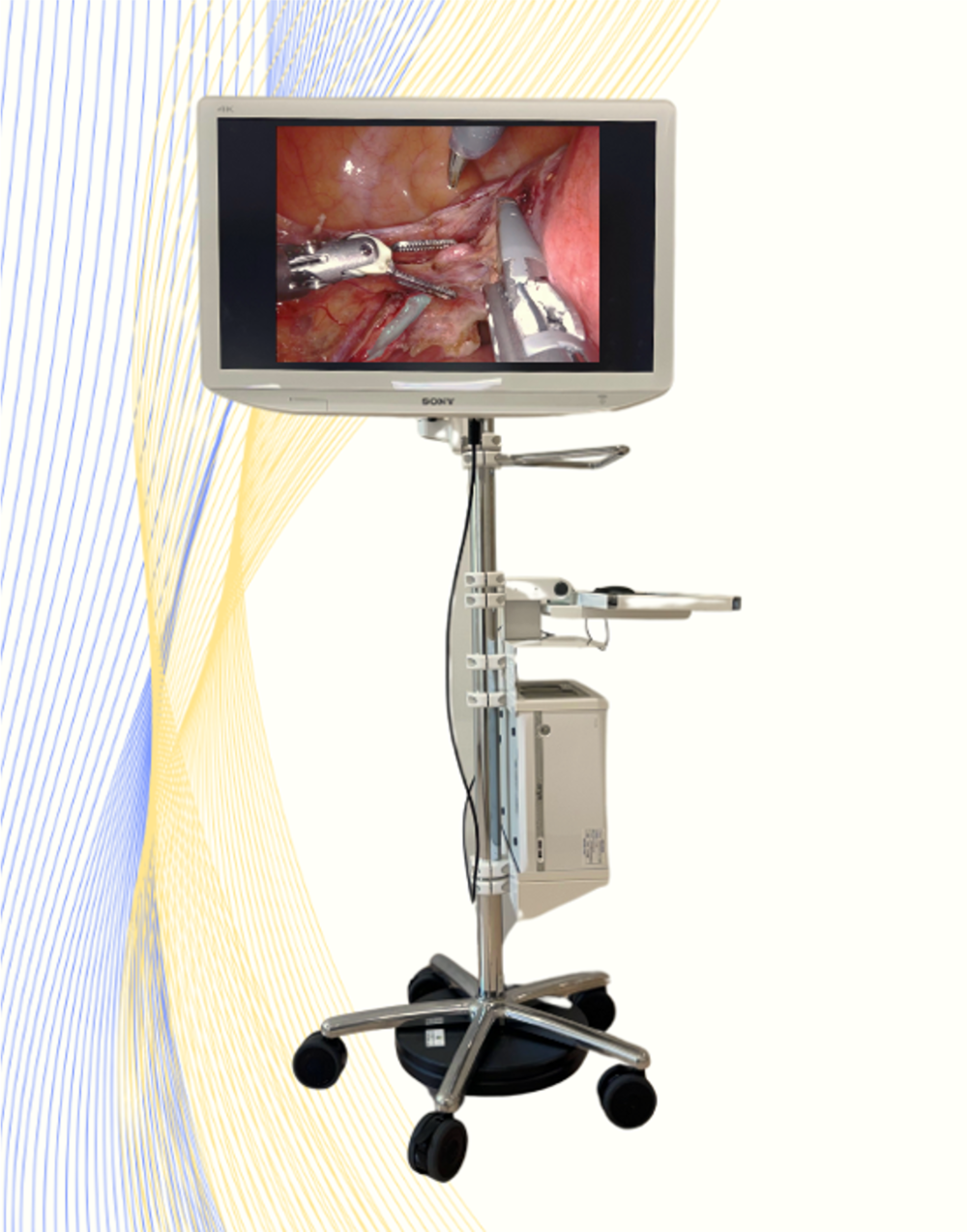 システムエンジニア募集 – Jmees